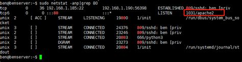 Linux 启动nginx失败！启动，重启，停止nginx！service Ngnix Stop Csdn博客