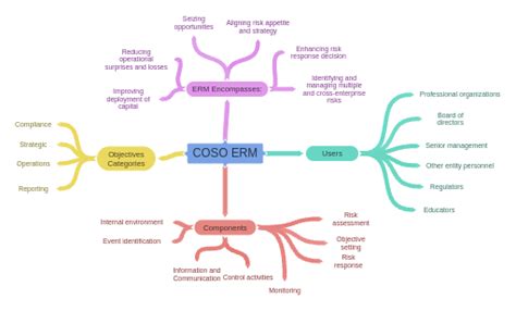 Coso Erm Coggle Diagram