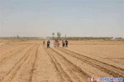 沟垄种植示意图 沟垄种植 垄与畦的示意图 第2页 大山谷图库