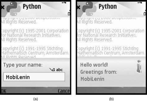 writing a program in python for s60 mobile python rapid prototyping