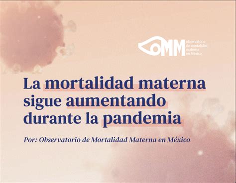 La Mortalidad Materna Sigue Aumentando Durante La Pandemia
