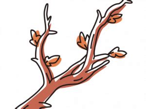 Tree Branch PNG Free Image PNG All
