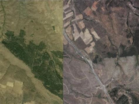 Destrucción Del Medio Ambiente Y El Hábitat Causas Y Consecuencias