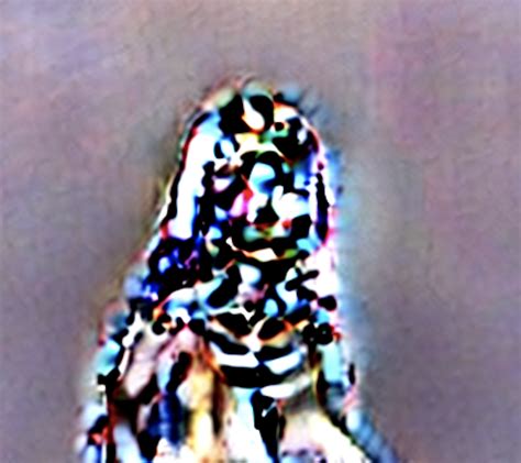 Some Of My Dreambooth Models Only Produce Images Like This What Should