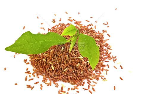 白底稻苗和植物被隔离在白色背景上饮食种子纤维谷物食谱粮食颗粒状食物营养内核高清图片下载 正版图片320777516 摄图网