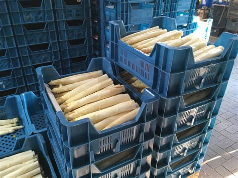 Toby On Twitter RT OmroepGLD Eerste Asperges Van Het Land Ik Vind