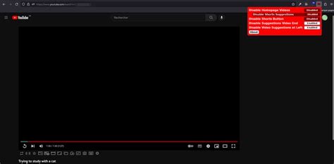 Youtube Is No MORE Extension Opera Add Ons