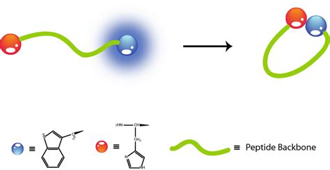 Schematic Presentation Of Collision Induced Fluorescence Quenching