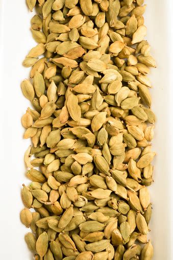 Elettaria Cardamomum 씨앗 Cardomomum 곡물 향기로운 향신료 흰색 배경에 카레와 쌀을 만들기 위한 세로 0명에 대한 스톡 사진 및 기타 이미지