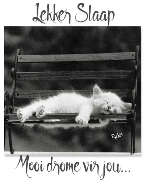 Anita Wandrag Sweet Dreams Good Night