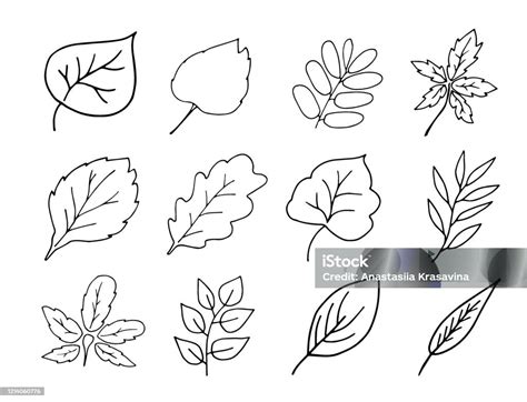 간단한 손으로 그린 낙서 의 집합입니다 색칠 공부에 대 한 실루엣 벡터 세트 나뭇잎 떠남에 대한 스톡 벡터 아트 및 기타 이미지 떠남 자작나무 10월 Istock