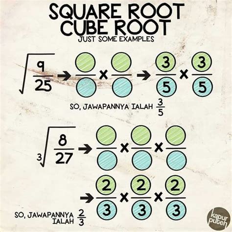 Square Root Cube Root Real Number System Education Math Learning Math