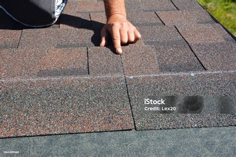 Pemasangan Sirap Atap Aspal Roofer Memaku Bitumen Atap Aspal Sirap