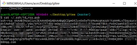gitee操作极速上手指南 使用 git 进行本地与远程之间的推送，拉取，修改，删除等操作
