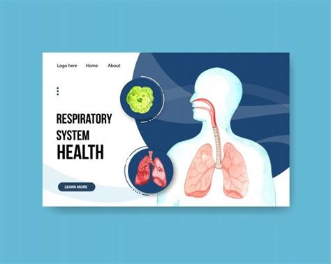 96 Background Ppt Respiratory System Pics MyWeb