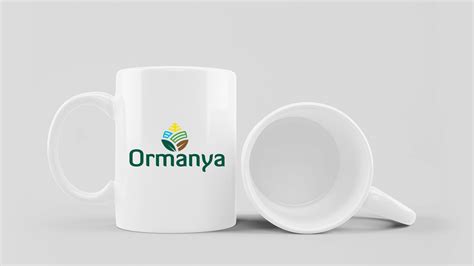 Biberiyeekstrakt Biberiyeuçucuyağormanya Biberiyedistilasyon Biberiyeşampuan Biberiyedişmacunu