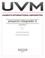 Proyecto Integrador Etapa 2 Mercadotecnia Docx Proyecto Integrador II
