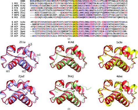 Iucr Structural And Bioinformatic Characterization Of An