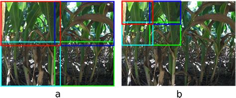 Example Of Two Of The Different Scales That Were Used In Training Download Scientific Diagram