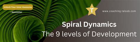 Spiral Dynamics