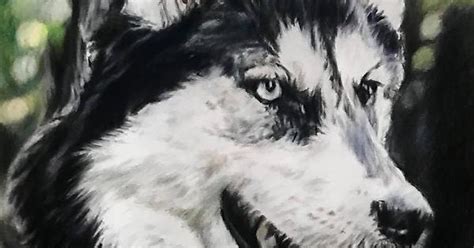 My Colored Pencil Drawing Of A Siberian Husky This Is My First Time