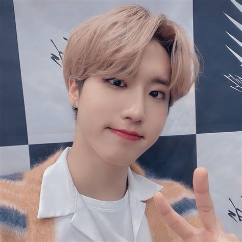 Skz Han Jisung Icon Icon Hd Icons I Icon