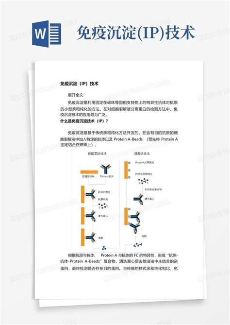 免疫沉淀ip技术word模板下载编号qmzzgxwz熊猫办公