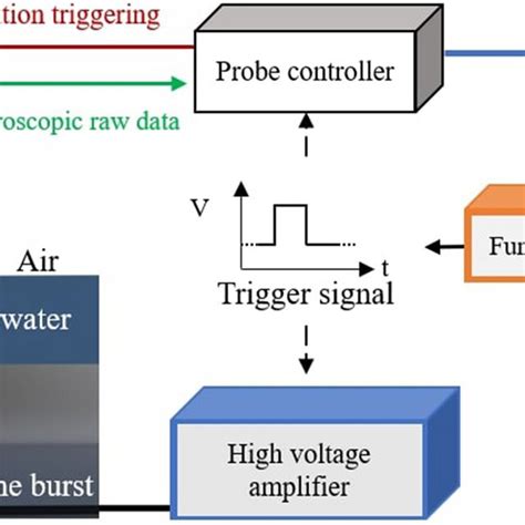 Space Time Tracking Of The Surface Elevation A Confocal Displacement Download Scientific