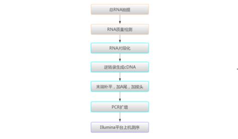 云生物上海蕴卓生物科技有限公司