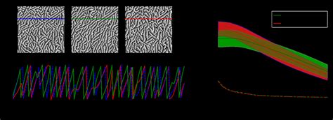 phase information analysis a results of the dominant local phase