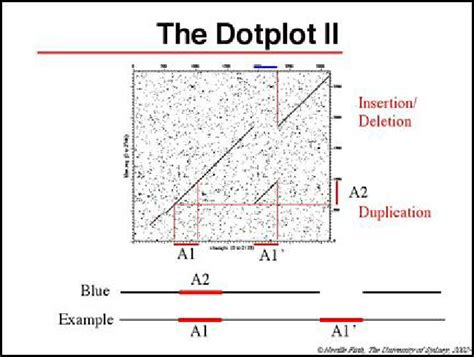 Similarity Analysis Using The Dotplot Method Showing Visualization Of Download Scientific