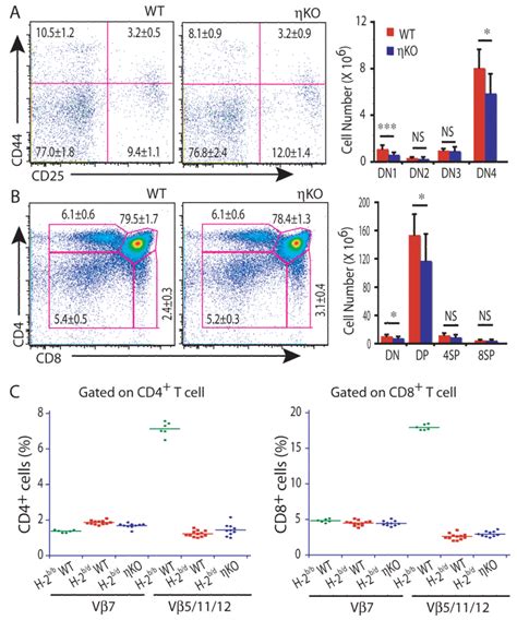 Thymocyte Development In Pkcη −− Mice Is Normal Thymocytes From