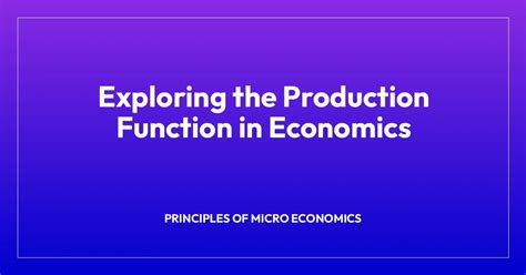 Exploring The Production Function In Economics • B Com Institute