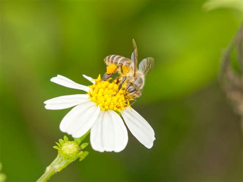 Bgmi Background Photos Download The Best Free Bgmi Background Stock