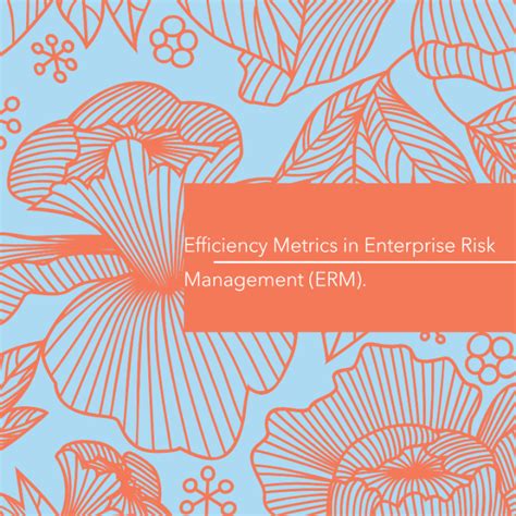 Efficiency Metrics In Erm