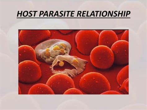 Host Parasite Relationship Ppt