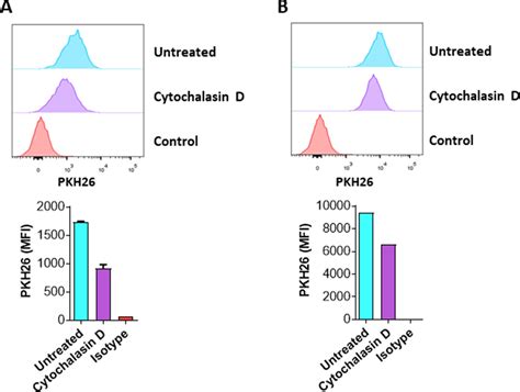 Figures And Data In Cd47 Cross Dressing By Extracellular Vesicles