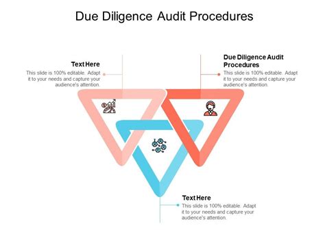 Due Diligence Audit Procedures Ppt PowerPoint Presentation Summary Inspirat