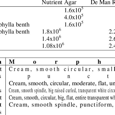 Viable Colony Count Of Bacteria Isolated From The Fermented Food Download Scientific Diagram