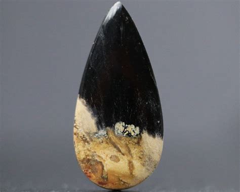 Palm Tree Root Fossil Birds Eye Agate Teardrop Cabochon 37mm 245