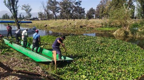 Preservar Los Canales De Xochimilco
