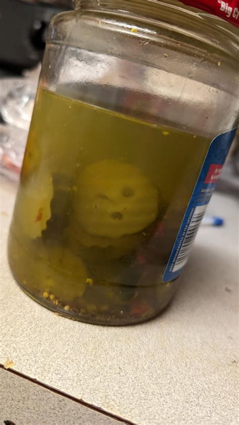 Confused Pickle Dude R Pareidolia