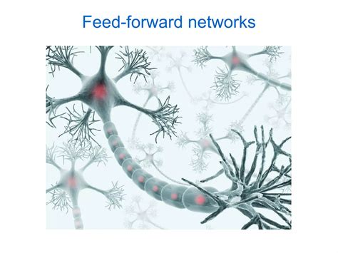 neural network architectures pdf