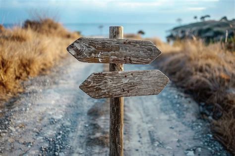 premium photo choosing between two distinct paths leading to