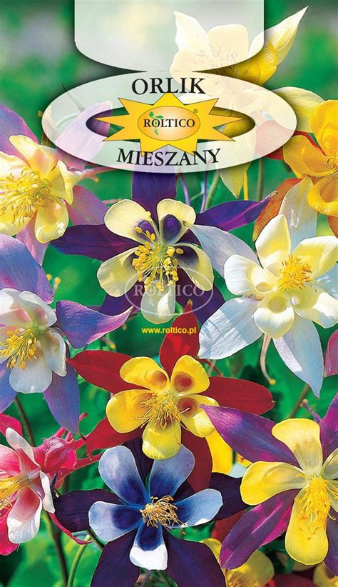 Nasiona Mieszanka roślin Mieszanka balkonowa 2 g porównaj ceny Allegro pl