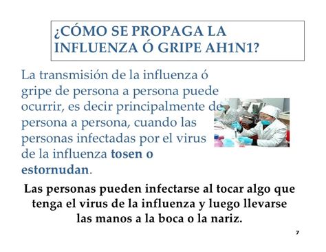 Gripe Ah1 N1 1