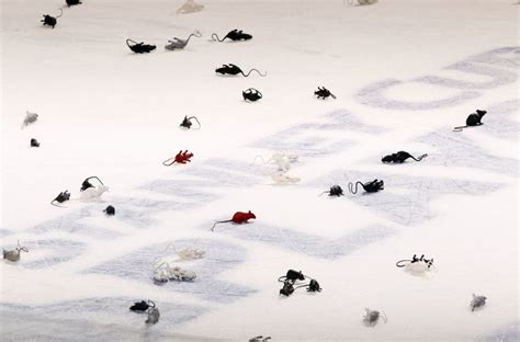 Panthers Get Delay Of Game After Fans Throw Rats On Ice