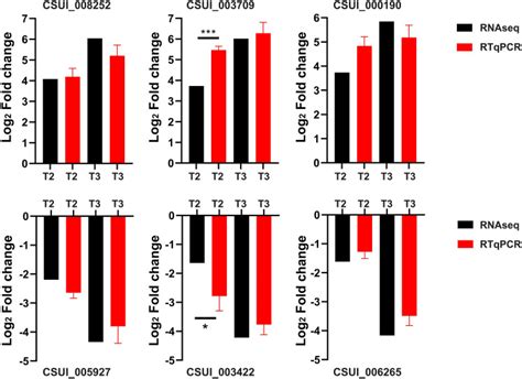 The Transcriptome From Asexual To Sexual In Vitro Development Of
