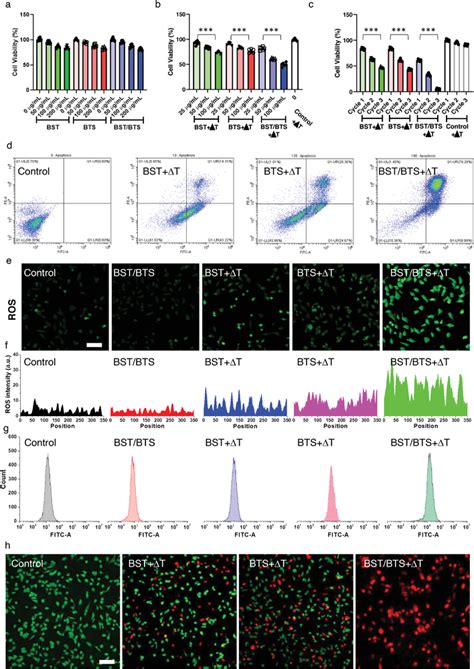 In Vitro Anti‐tumor Effect Of Tet A Human Breast Cell Mcf‐7