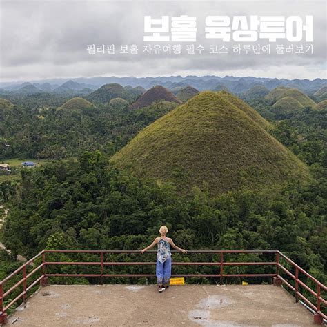 필리핀 보홀 자유여행 육상투어 안경원숭이 초콜릿힐 전부 Ok 네이버 블로그